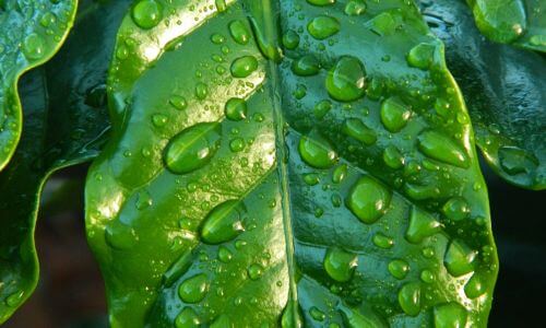 Humidade, a grande inimiga da sua habitação!